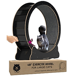48'' Large Cat Wheel – Size Which Doesn't Negatively Affect Cat's Spine – Nordic Beast, Cat Exercise Wheel Indoor, Cat Wheels for Indoor Cats, Cat Treadmill, Cat Running Wheel, Cat Wheel Exerciser