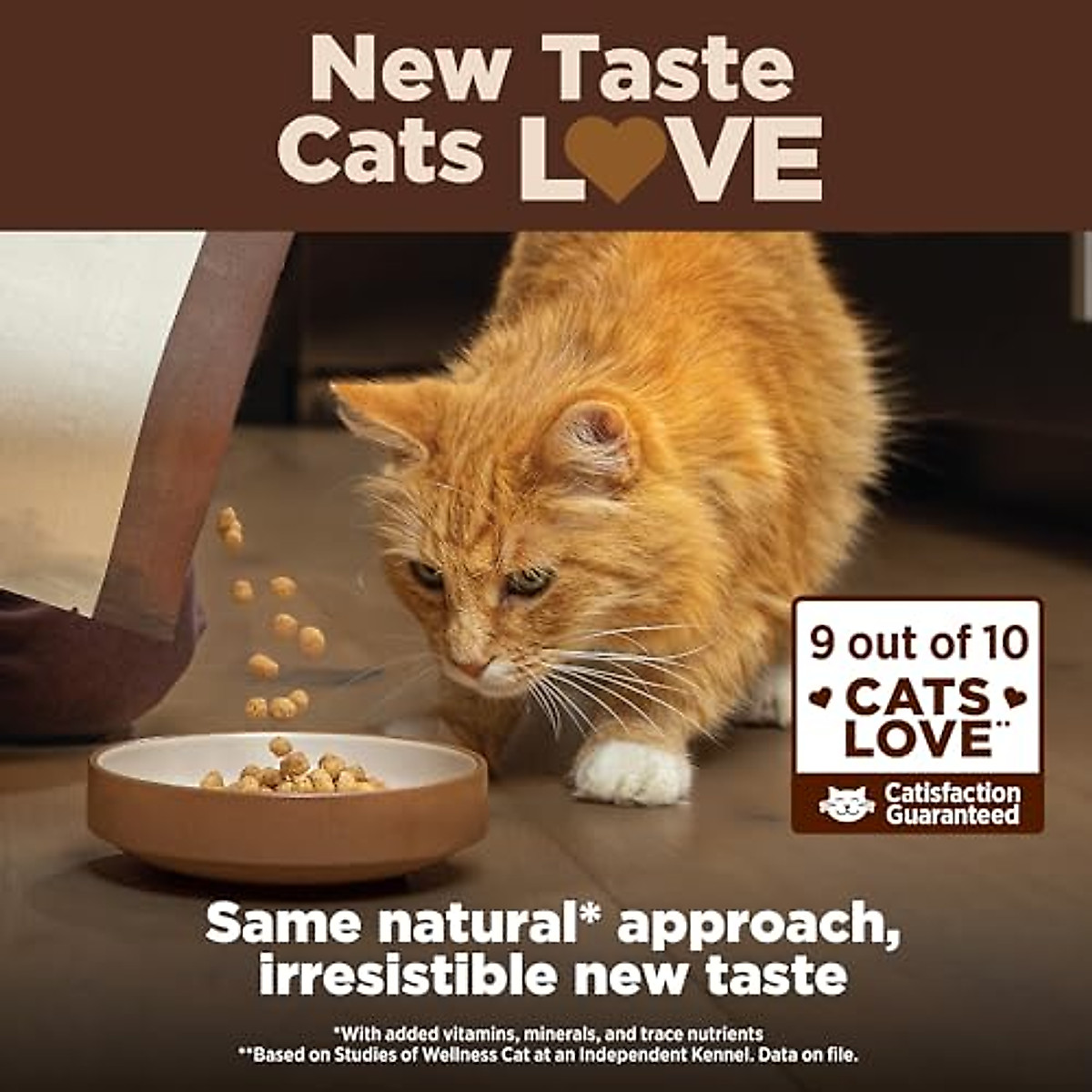 Wellness CORE Digestive Health Wholesome Grains Probiotic Coated High Protein Dry Cat Food, Chicken & Rice Dry Cat Food, 11 Pound Bag