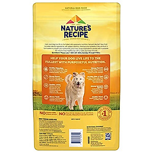 Nature’s Recipe Adult Dry Dog Food, Chicken & Rice Recipe, 4 Pound Bag