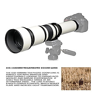 Canon EOS 5D Mark IV DSLR Camera w/ 24-105mm STM Lens + Canon EF 75-300mm III Lens, Canon 50mm f/1.8, 500mm Lens & 650-1300mm Lens + Deluxe Backpack + 64GB Memory + Monopod + Professional Bundle