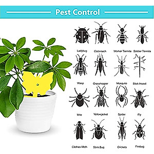 36 PCS Fruit Fly Trap Yellow Sticky Fungus Gnat Killer for Indoor and Outdoor Plant Insect Catcher for White Flies Mosquitos Fungus Gnats Flying Insects Houseplant Gift for Flower Lover