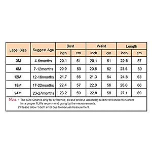 Silver Mermaid Baby Girls Floral Embroidery Baptism Christening Dress Special Occasion Formal Gown Outfit(3M,Ivory White)