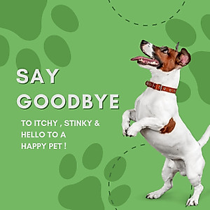 VoilaVe Pure Hypochlorous Acid Spray for Dogs, Cats | Pet Spray for Itchy, Irritated Skin, Allergy, Rashes | Supports Hydration, and Reduce Odor - 8 Oz