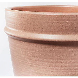 Threshold Earthenware Tabletop Decorative Planter Designed with Studio McGee (Rose)