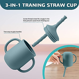 Silicone Baby Feeding Set, 2 Adjustable Bibs with Food Collectors, 1 Suction Cup Divider, 1 Suction Cup, 1 Sippy Cup,1 Stage 1 Spoon and 1 Fork, Baby Led Weaning Utensils,Toddler Self Feeding Set