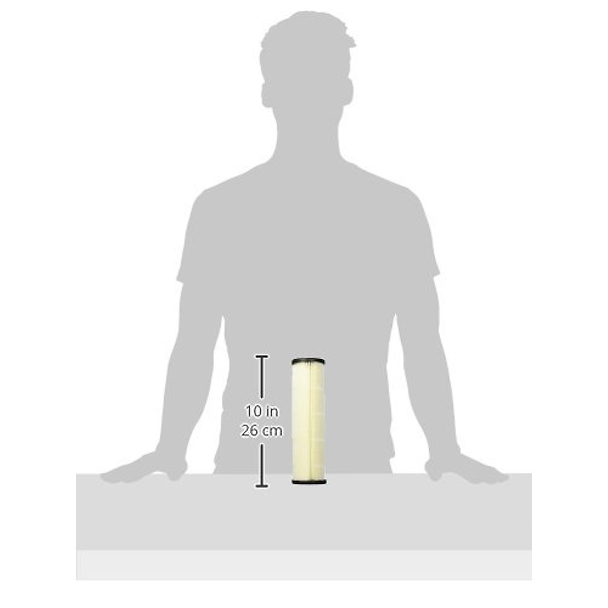 OmniFilter RS1SS 20 Micron 10 x 2.5 Comparable Sediment Filter 12 Pack