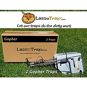 LASSO TRAP Gopher (Large) Trap (Pack of 2) Galvanized and Oil-Hardened Steel Lasso Trap/Super Cost Effective Reusable & Durable Animal Trap Best in The Lawn, Yard, Garden, Farm, & All Outdoor Setting