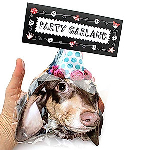 Dachshunds Garland, dog birthday party decoration banner, Made in USA, Best Quality