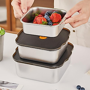 BEFOY Stainless Steel 101oz Big Food Storage Containers with Translucent Lid Food Lunch Box Containers Leak-proof Light Easy Set with Air Vent Snack Boxes (700/1700/3000)