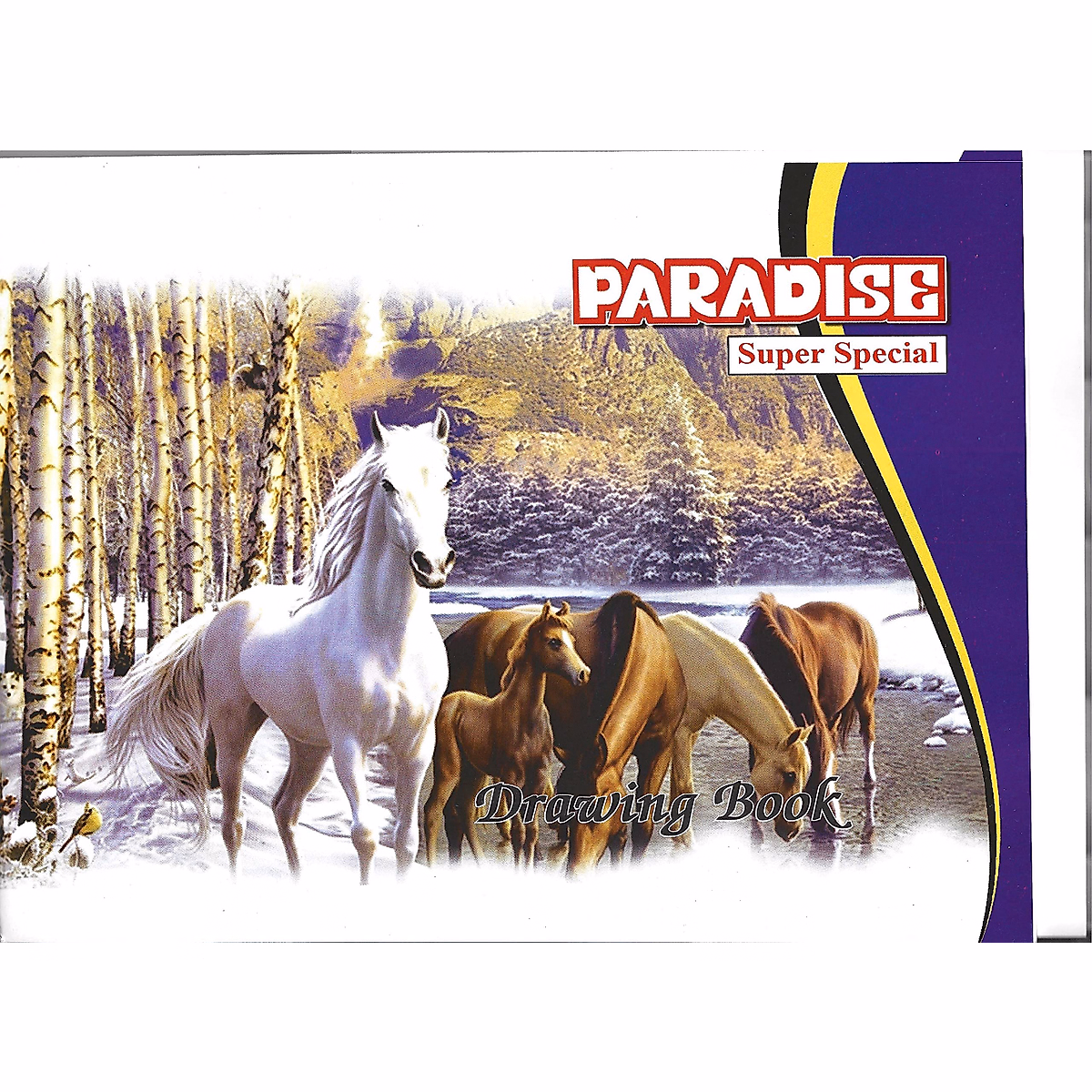 Blank Drawing Book: 150 Pages, 8.5" x 11" Large Sketchbook Journal White Paper (Blank Drawing Books)