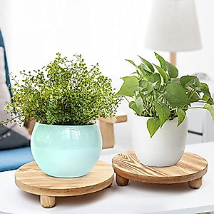 LotFancy Wooden Plant Stool, 2Pack, 10” Low Plant Stand, Round Pot Flower Pedestal Riser Holder for Indoor Outdoor Display