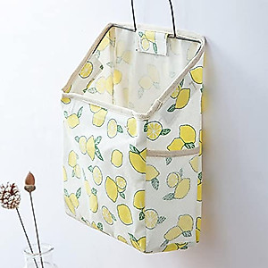 B Baosity Wall Hanging Storage Bag, Over The Door Closet Organizer Hanging Bags, Thick Durable Canvas Organizer Box Containers for Bedroom, Bathroom, Kitchen, Lemon