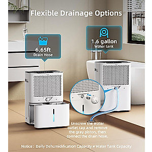 6000 Sq. Ft Dehumidifier for Basement, Wpsoert 100 Pints Dehumidifiers for Home Large Room with Drain Hose, Intelligent Humidity Control, Three Modes Deshumidificador, Child Lock, 24H Timer