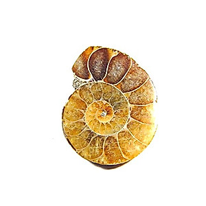 phoenix888 VishvakarmaaSudarshan Shaligram