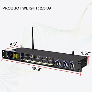 Depusheng REV3900 KTV Pre-Effector Household Reverberator Karaoke Anti-Howling Audio Processor USB Bluetooth Device with Microphone