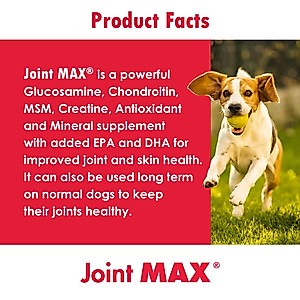 Pet Health Solutions Joint MAX Double Strength (DS) Capsules for Dogs, Glucosamine, Chondroitin, Vitamins and Antioxidants, Hip and Joint Pain Relief and Support Supplement - Made in USA, 120 Tablets