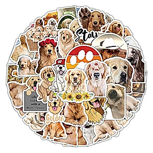 Cute Golden Retriever Dog Stickers, 55 PCS Puppy Stickers Vinyl Gifts for Laptops Water Bottles Skateboards, Kids Boys Girls Teens Party Decoration Decals (Golden Retriever)