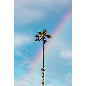 Vooray Quinn Belt Bag Blushing Barbie