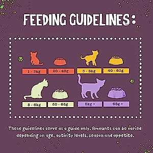 Benevo Vegan cat Food for Adult Cats 2kg. Holistic, Meat-Free, Complete, Non-gm Dry Food Kibble for Your cat. Award Winning Vegan pet Food Made in The UK.