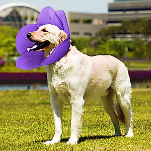 GANAZONO Pet Recovery Collar, Cat Cone Collar, Elizabethan Protective Cone, Wound Healing Protective Cone After Surgery for Small Pet