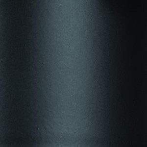 Globe Electric 44633 Parker 1-Light Outdoor Indoor Wall Sconce, Matte Black, Clear Glass Shade