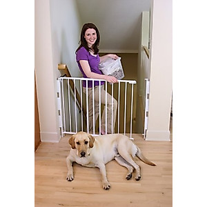 Regalo 2-in-1 Stairway and Hallway Wall Mounted Baby Gate, Bonus Kit, Includes Banister and Wall Mounting Kit