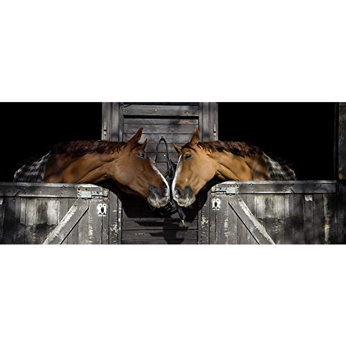 Intrepid International Magic Brush Red