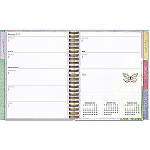 WSBL Butterflies 2024 File-It™ Planner (24997071007)