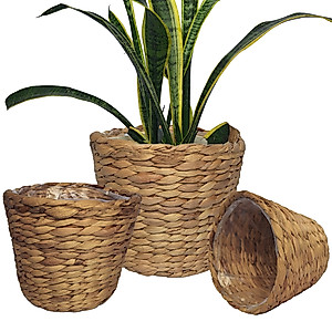 Set of 3 pcs Stylish Seagrass Planter Basket - Natural Water Hyacinth Small Storage - Made of Eco Friendly - Flower Pot Table Decoration - Boho Decor - Gift For Her