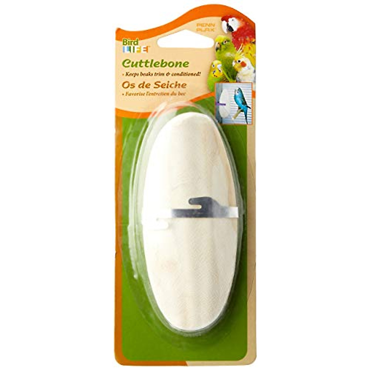 Penn-Plax Cuttlebone with Holder - Medium