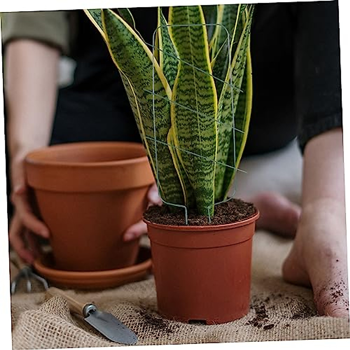 Yardwe 2pcs Plant Climbing Trellis Metal Planters for Outdoors Mini Plants Plant Stand Outdoor Cucumber Trellis Climbing Rose Trellis Artificial Trellis Gardening Accessory Rattan Frame