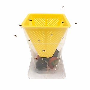 Voltup Fruit Fly Trap for Indoors Reusable with Sticky Pads Non-Toxic Funnel Fruit Fly Catcher Safe for Pets in House and Kitchen Easy to Use and Controls Fruit Flies with Natural Lure 4PCs