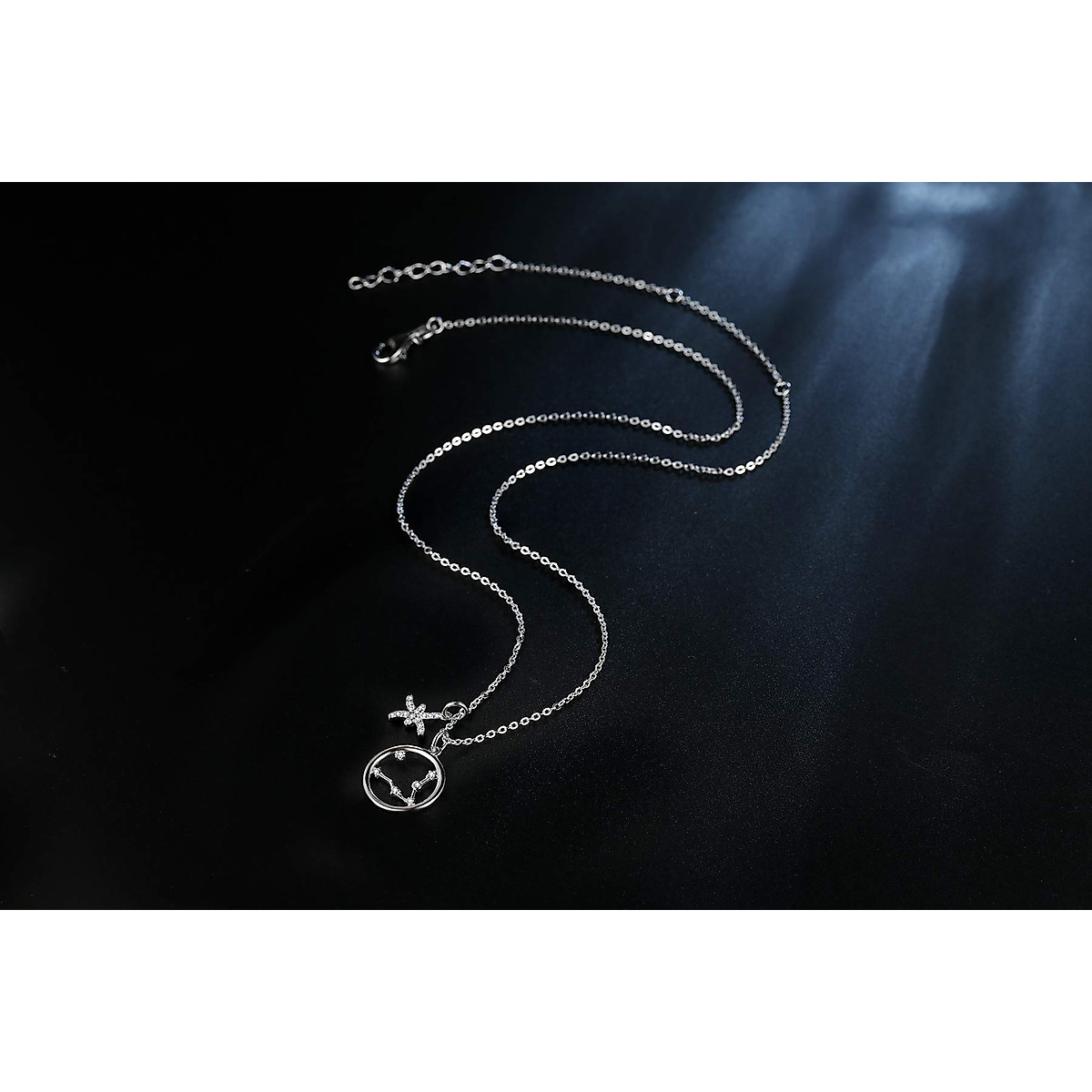 Presentski Pisces Constellation Zodiac Necklace Women Pendant Horoscope Sign Necklaces Birthday Jewelry for Daughter Sister