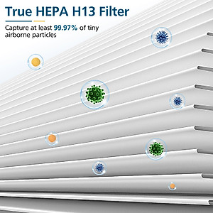 2 Pack C102(MA-01CW) True HEPA Air Filter Replacement, Compatible with MA-18,Okaysou AirMic4S, Miko C102 IBuki -Air Purifier, H13 HEPA and Activated Carbon Filter