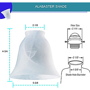 Dysmio Lighting Replacement Alabaster Shade - Height: 4.75-inch, 5-3/8 inches Diameter, Milky Scavo Glass Bell Shade - Standard 2-1/4-inch Fitter