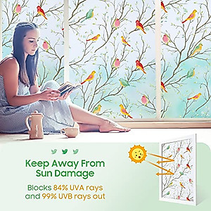 Viseeko Stained Glass Window Film: Bird Window Privacy Film Non-Adhesive Window Clings Room Decor Frosted Window Decals UV Blocker Removable for Bathroom Kids Study Room