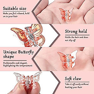100 Butterfly Hair Accessories for Women - Mini Clips with Box, 90s Retro Style (Clear Color)