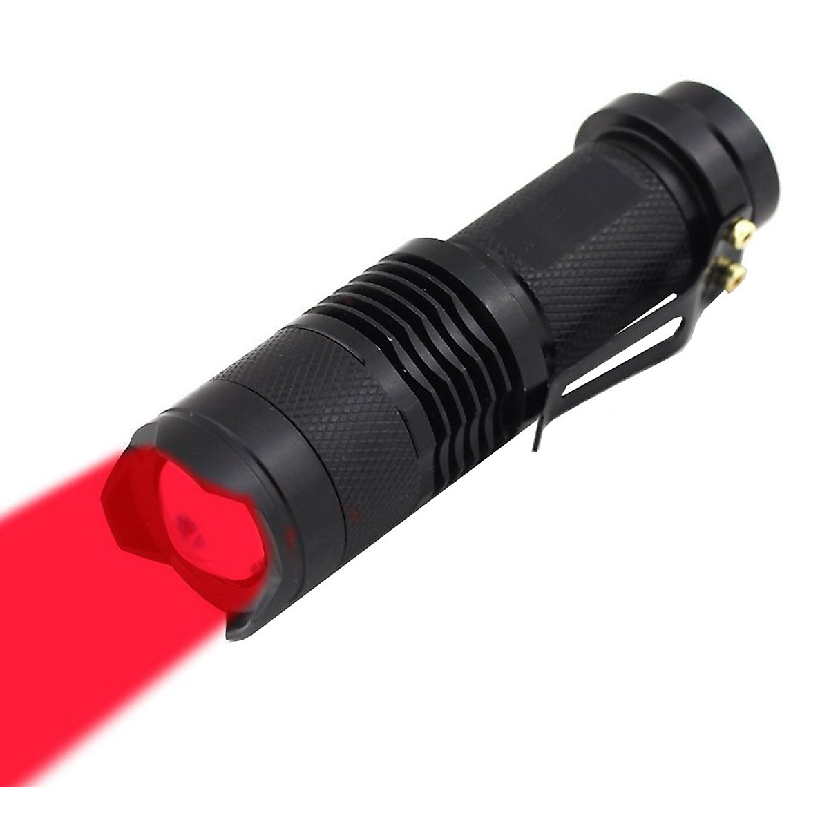 WAYLLSHINE High Power 1 Mode Red LED Flashlight, Single Mode Red Flashlight, Red Light Flashlight Red Light Torch for Astronomy, Aviation, Night Observation