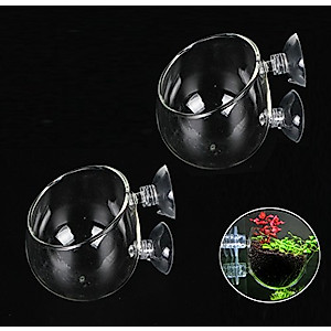 Crystal Glass Aquatic Plant Cup Pot Holder,Fashionclubs Aquarium Tank Live Plant Glass Pot Red Shrimp Holder with 2 Suckers,Fish Tank Aquascape Decor,2-Pack