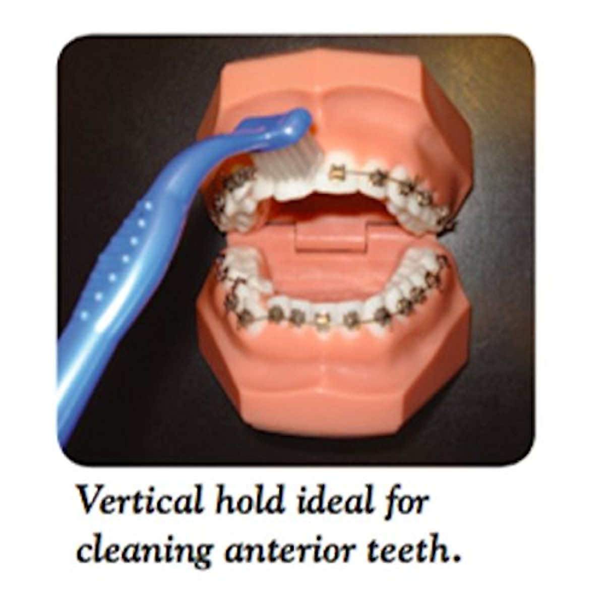 Curvex II Toothbrush