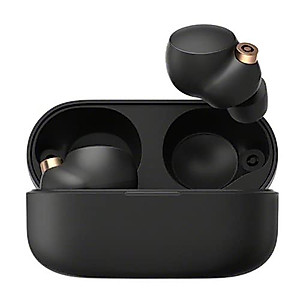 Sony WF-1000XM4 True Wireless Noise Canceling Headphones (Black) with Knox Gear silicone carrying case with carabiner for Sony WF-1000XM4 Earbuds bundle (2 items)