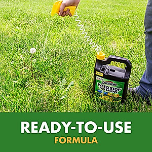 Spectracide Weed Stop For Lawns3