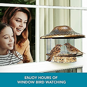 Skyline 1-Level Window-Mount Bird Feeder Kit, Strong Suction Cups and Drainage Holes, Clear Transparent Bird Feeder, Expandable, Antique Copper Finish