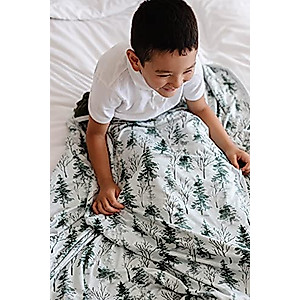 Pobi Baby Premium Baby Blanket, Soft Stretchy Quilt for Babies, Toddlers, Kids (Magical Woods)