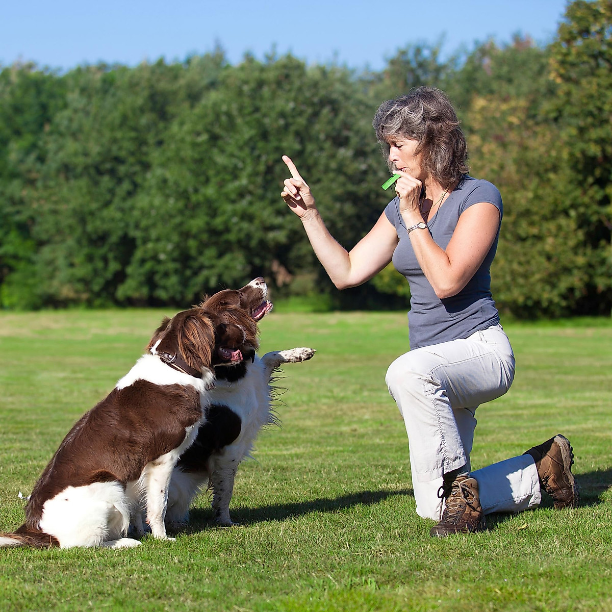 Potato Zone Emergency Whistle – Survival Keychain Whistle Emergency – 120db Loud Safety Whistle for Protection, Camping, Hiking, Sports, Dog Training – Portable Metal Whistle with Keychain