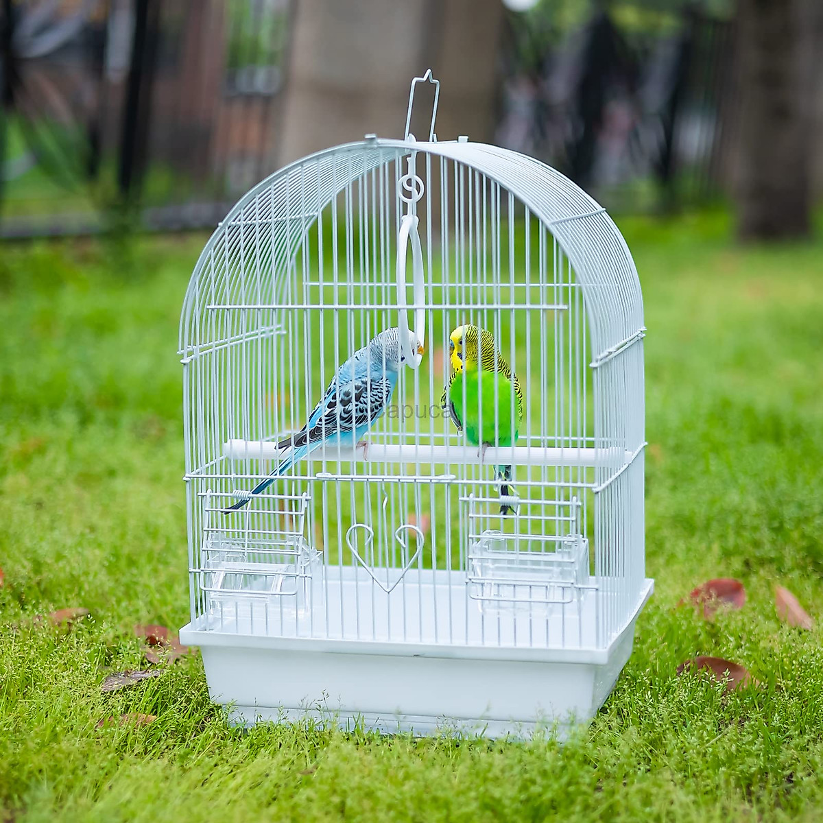 Capuca Small Bird Travel Cage - Lightweight Small Birds Starter Kit with Birdcages and Accessories Great for Parakeets Lovebirds Parrotlets Finches Canaries