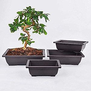 YITAQI 1PC Bonsai Training Pots - Classic Deep Humidity Trays with Built in Mesh - Plastic Square Pot & Bonsai Plants Growing Pots(Rectangle S)