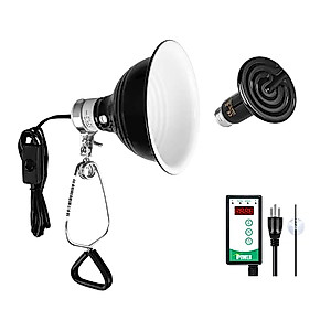 Simple Deluxe 50W Reptile Ceramic Heat Bulb No Light Emitting with 5.5 Inch 60W Dome Light Clamp Lamp Fixture and Digital Thermostat Controller, for Incubating Chicken & Amphibian Pet