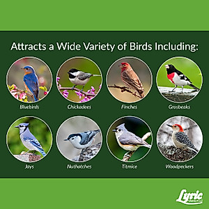 Lyric Fine Tunes Wild Bird Seed - No Waste Bird Food Mix - Attracts Bluebirds, Finches, Chickadees & More - 5 lb bag