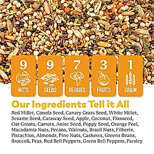 Dr. Harvey's Incredible Canary Food, Wholesome Seeds, Nuts, Fruits, and Vegetables Bird Feed for Singing Canaries, Trial Size (4 Oz)